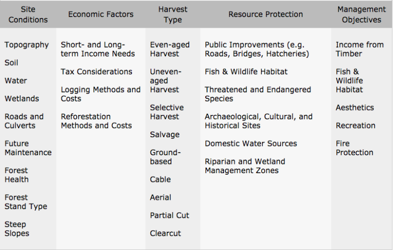 Sustainable Timber Harvesting – Washington Forest Protection Association