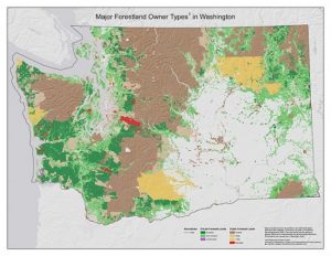 Washington Forests – Washington Forest Protection Association