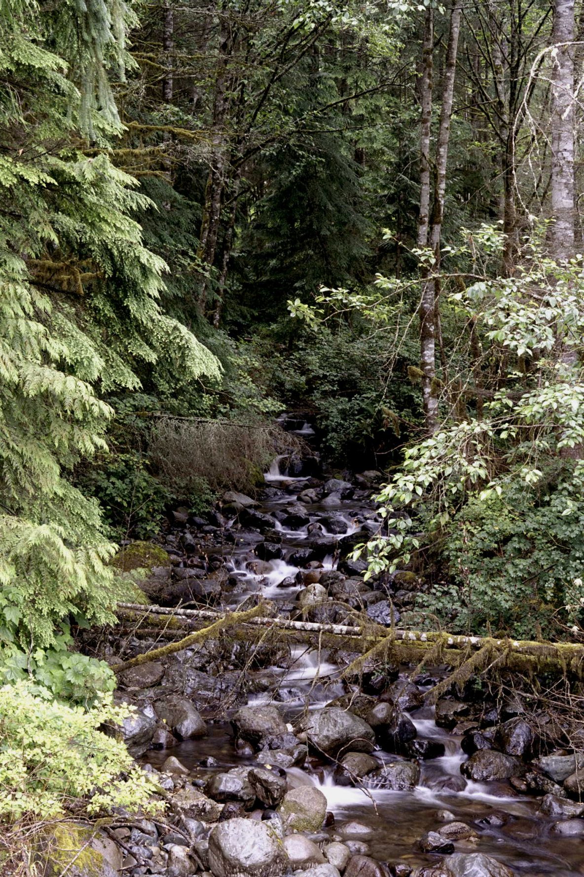 Compliance Monitoring Report Shows Strong Performance in Washington’s ...