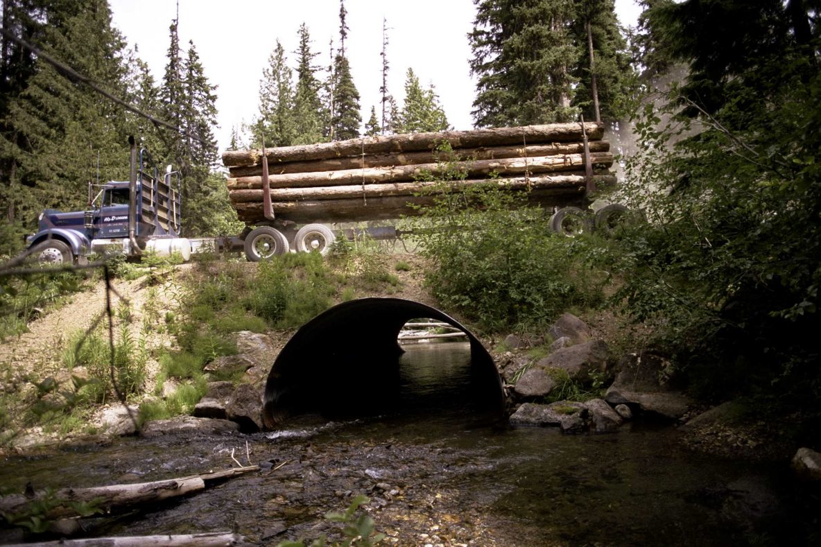 Aquatic Habitat – Washington Forest Protection Association