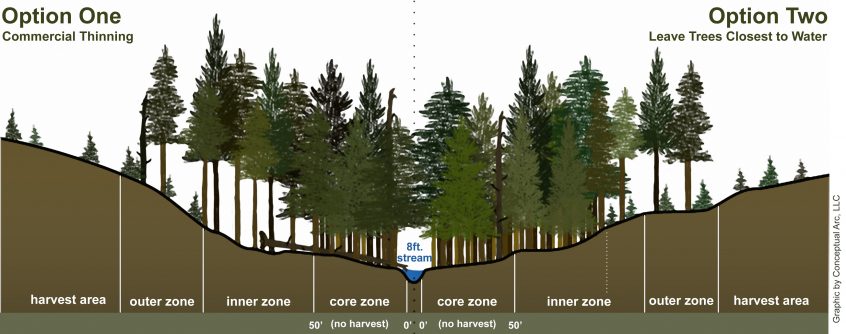 Riparian Buffer Zones – Washington Forest Protection Association