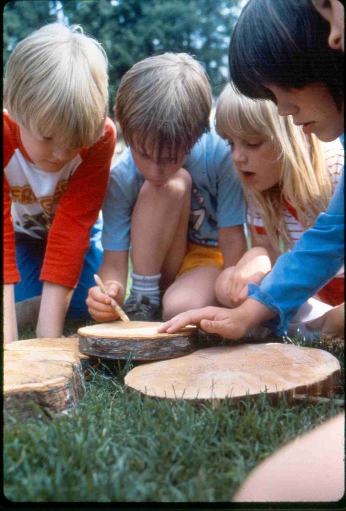 Forest Management – Washington Forest Protection Association