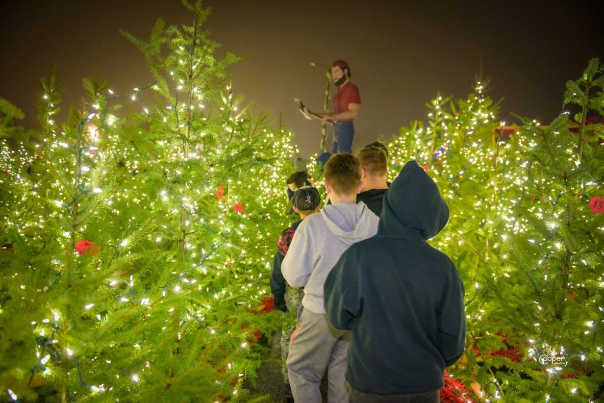 Shelton sets new Guinness World Record for most lit Christmas trees ...