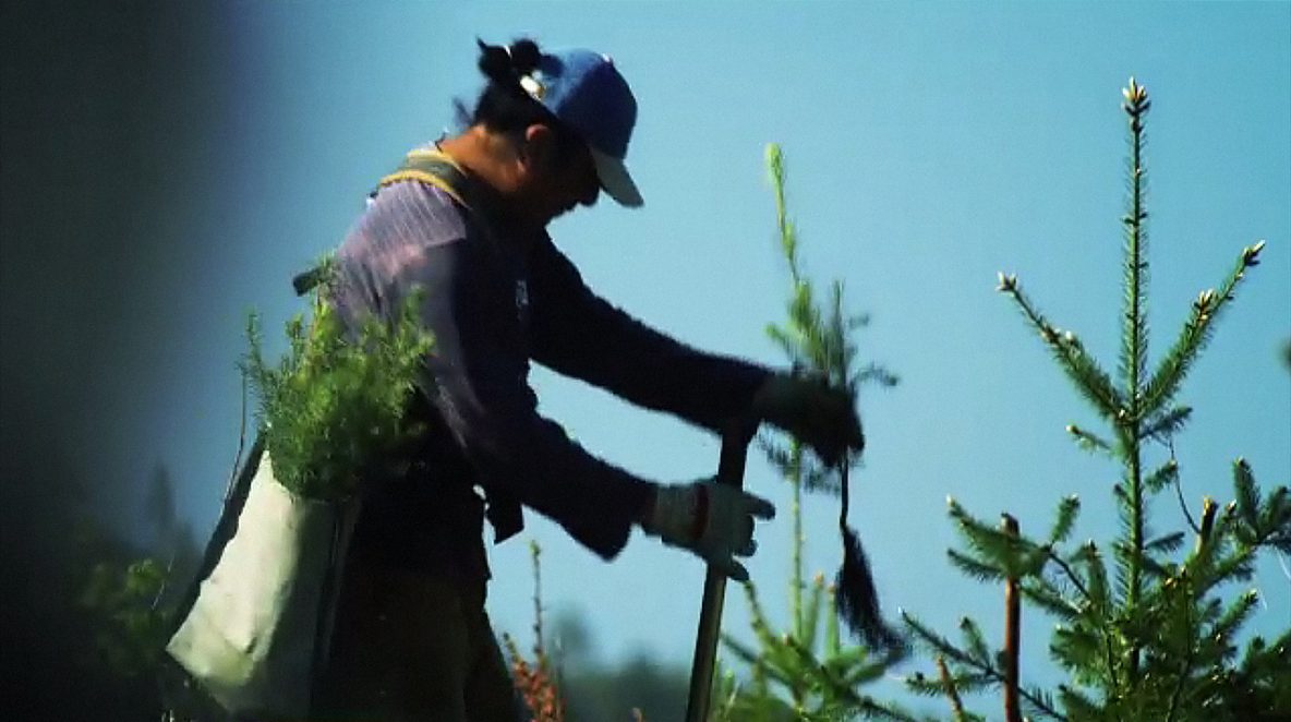 Working Forests help achieve Washington's Climate Reduction Goals ...