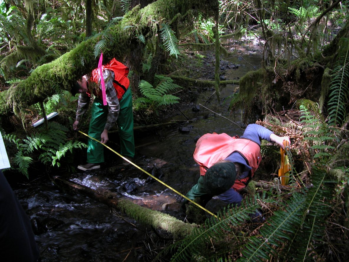Forest Management – Washington Forest Protection Association