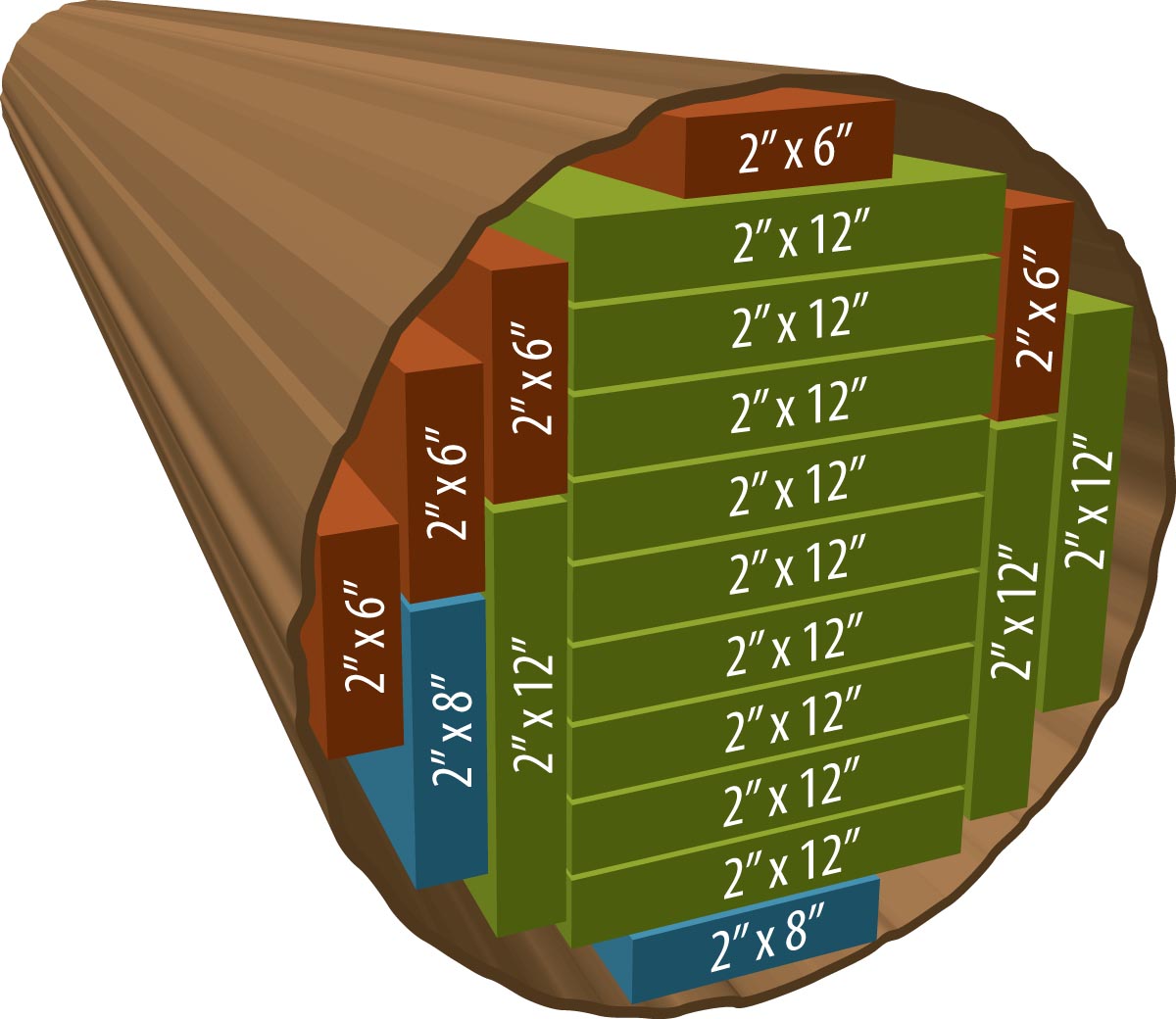 Learn Forestry - Wood Products – Washington Forest Protection Association