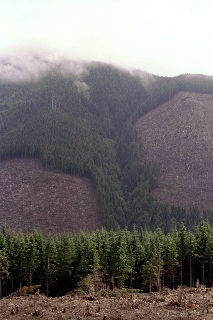 Landslide Mitigation – Washington Forest Protection Association