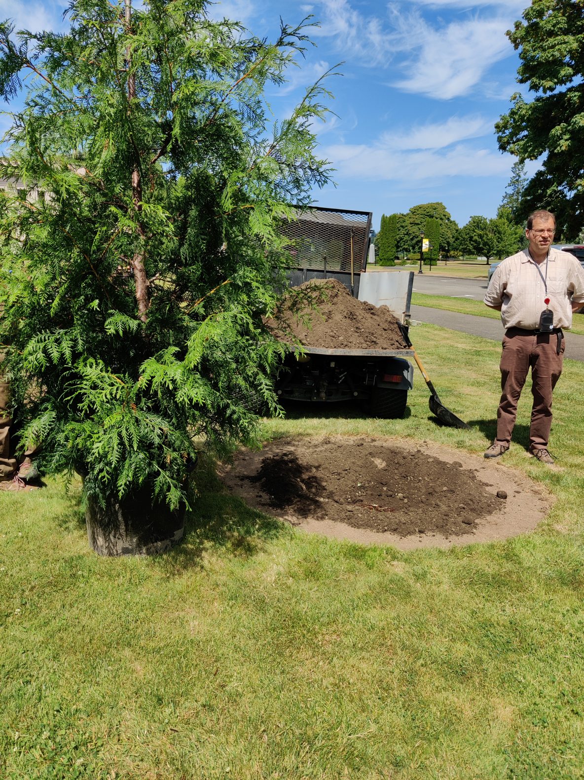 Western red cedar planted on West Capitol Campus honors Mark Doumit ...