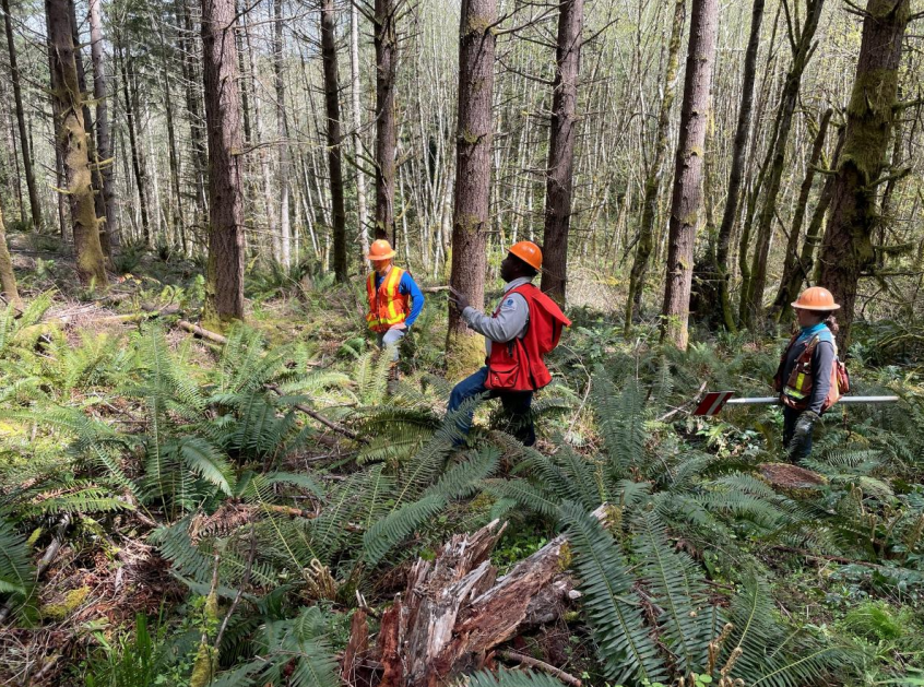 State forest practices study finds high compliance among working ...