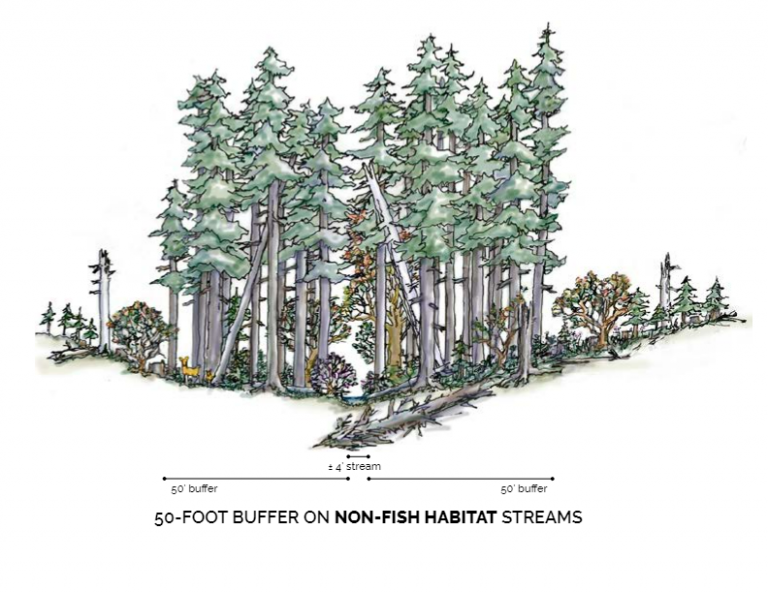 Buffer Zones-Np Streams – Washington Forest Protection Association