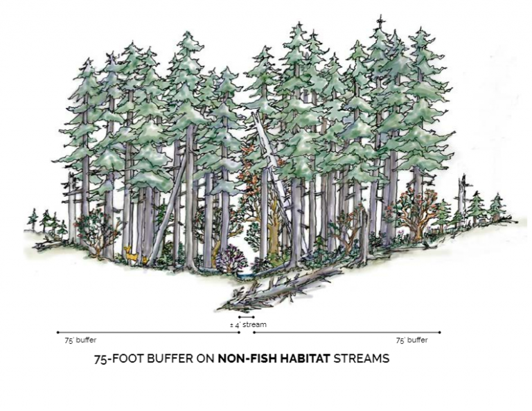 Buffer Zones-Np Streams – Washington Forest Protection Association