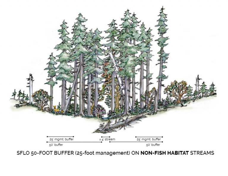 Buffer Zones-Np Streams – Washington Forest Protection Association
