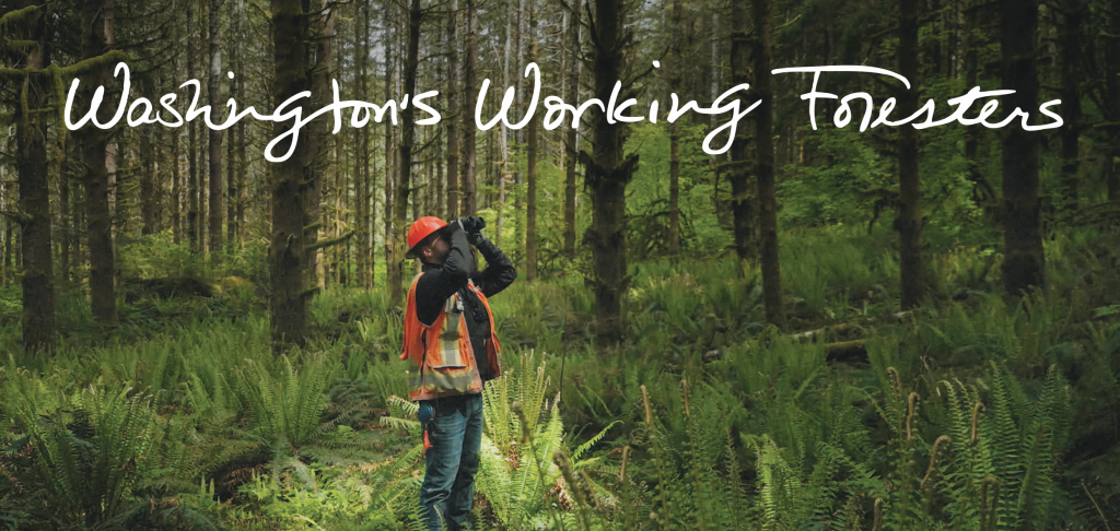 114th WFPA Annual Meeting recognizes, celebrates working forests ...