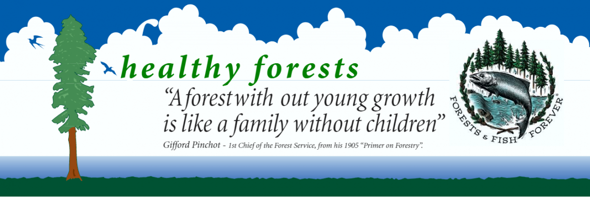 County Carbon Charts – Washington Forest Protection Association
