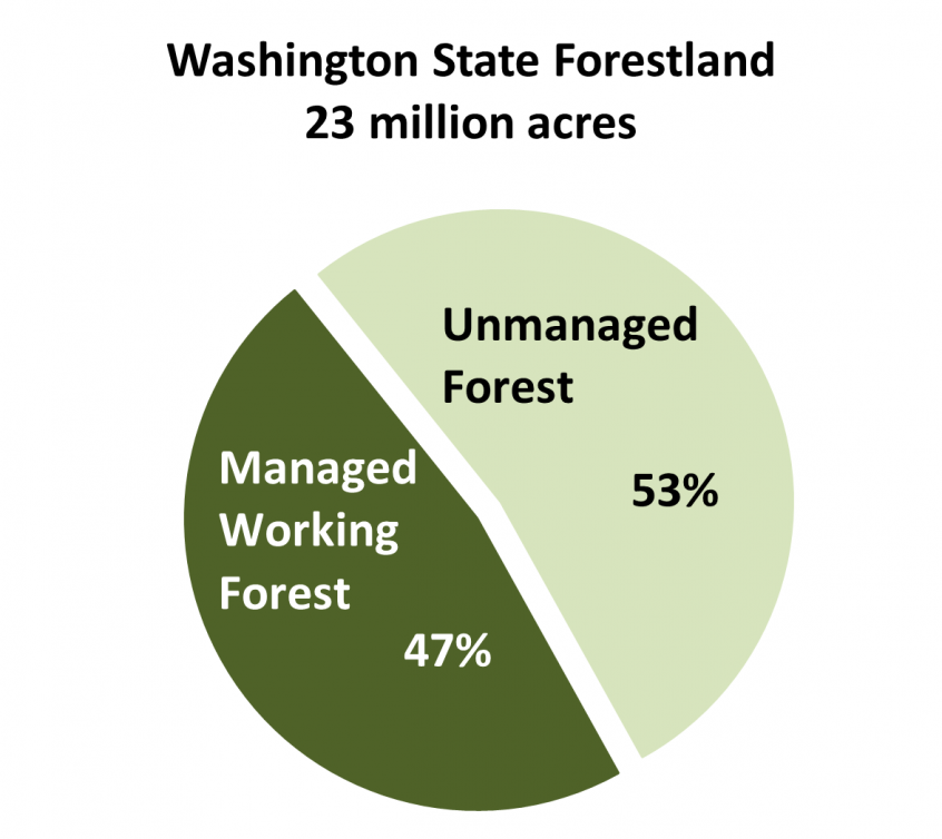 County Carbon Charts – Washington Forest Protection Association