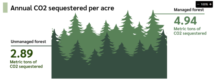 Working forests vital to jobs and mitigating climate change ...