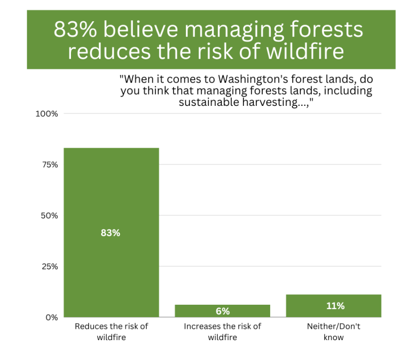 Washington residents support active forest management – Washington ...