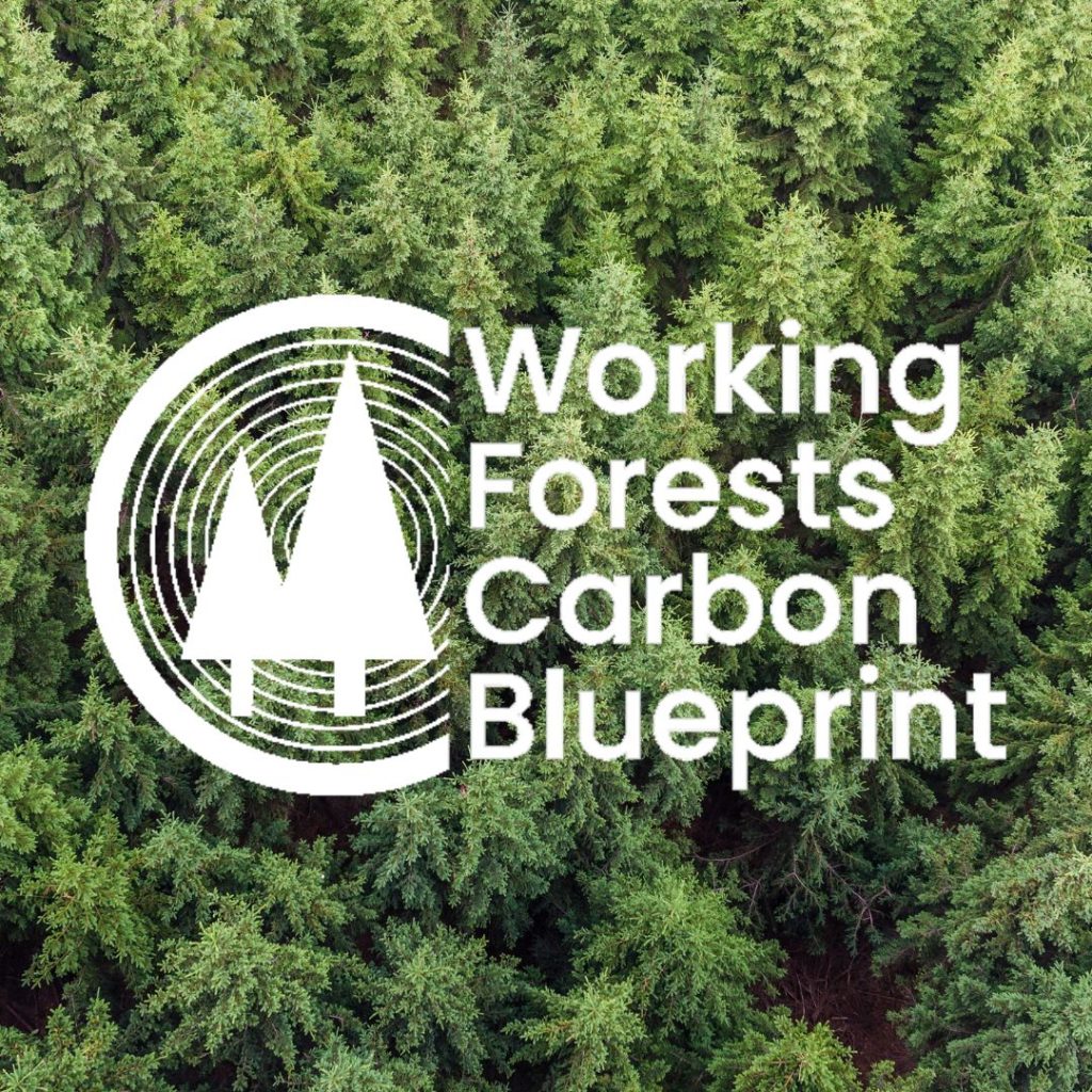 Expanding Our Scope: Working Forest Carbon Blueprint Unveils ...