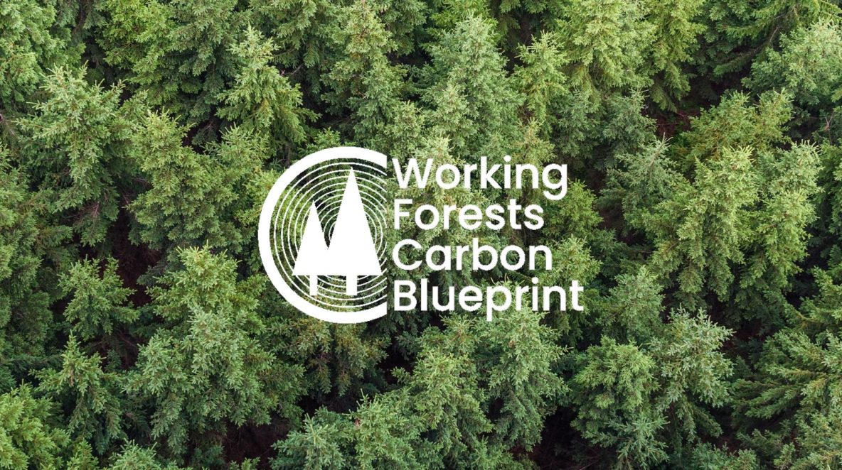 Adaptive Management – Washington Forest Protection Association