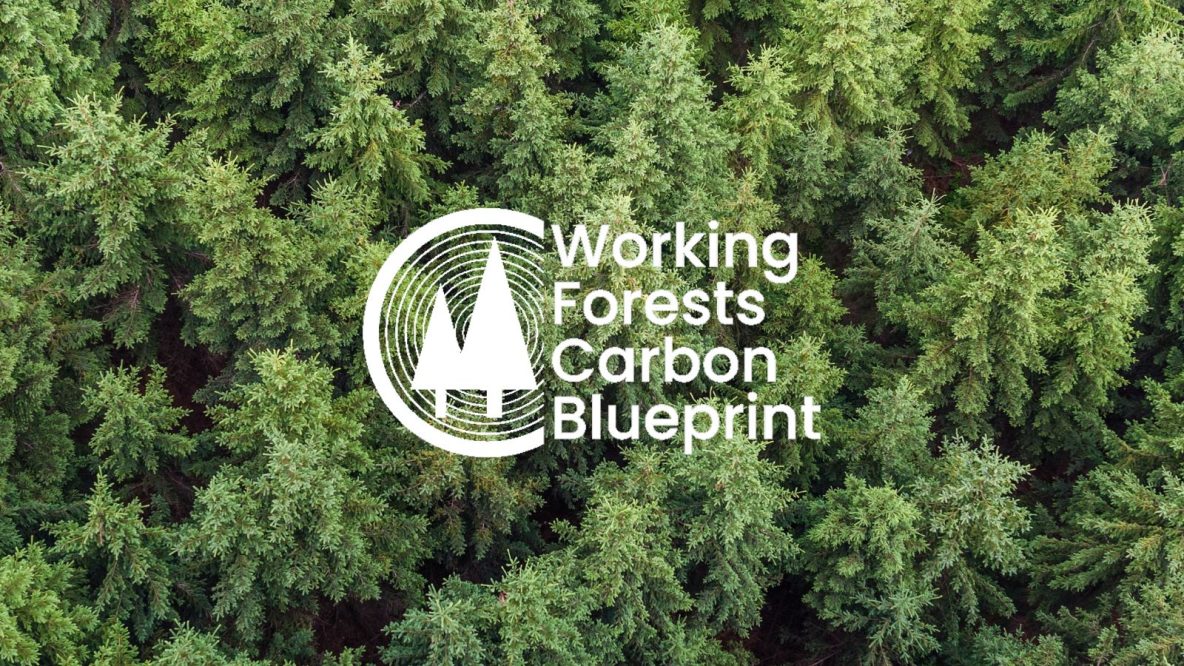 Homepage – Washington Forest Protection Association