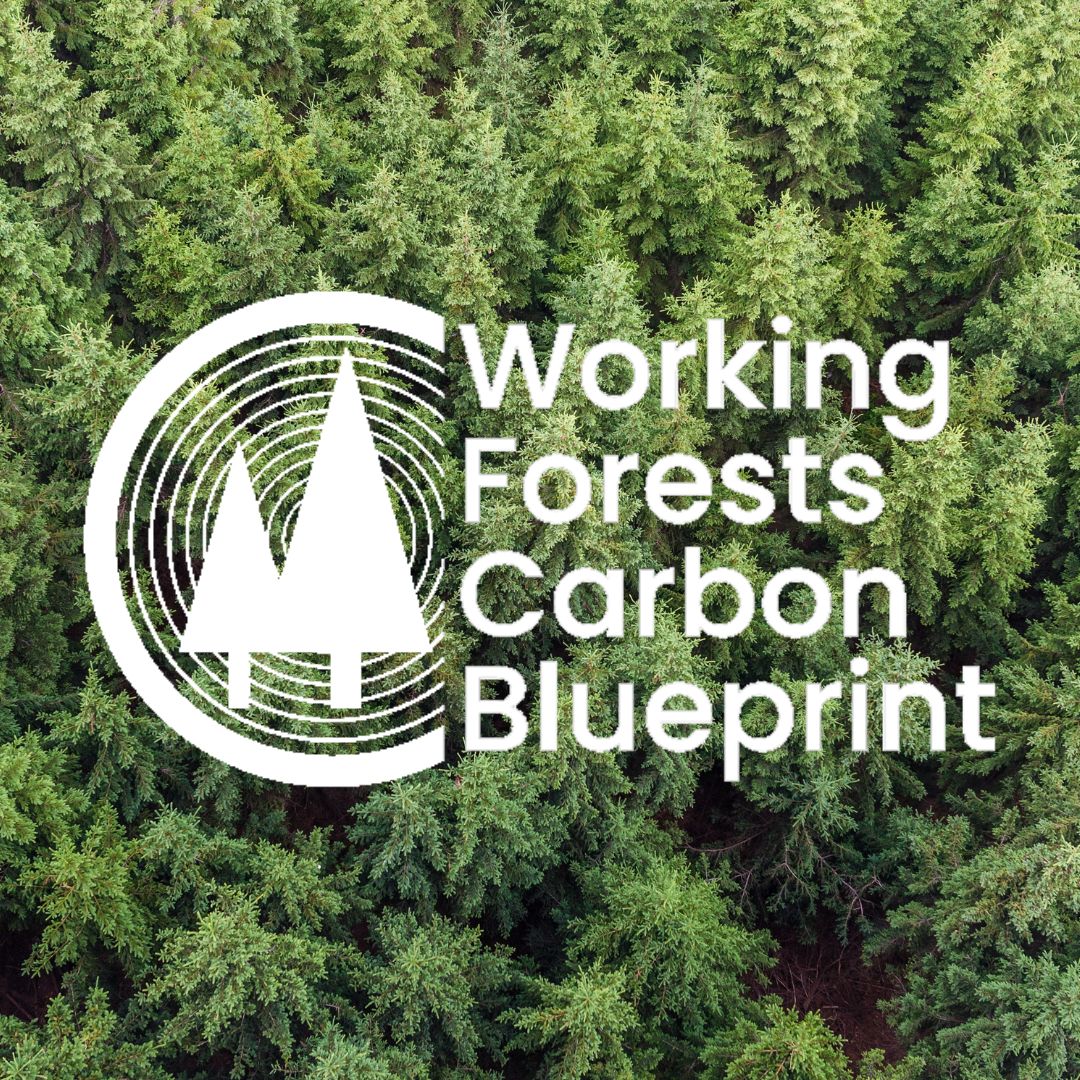 Expanding Our Scope: Working Forest Carbon Blueprint Unveils ...