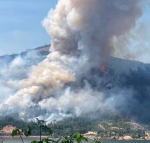 Fires in Washington State: Fire Management and Prevention Strategies ...