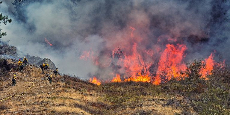 How Forest Management Helps Reduce Wildfire Risk – Washington Forest ...