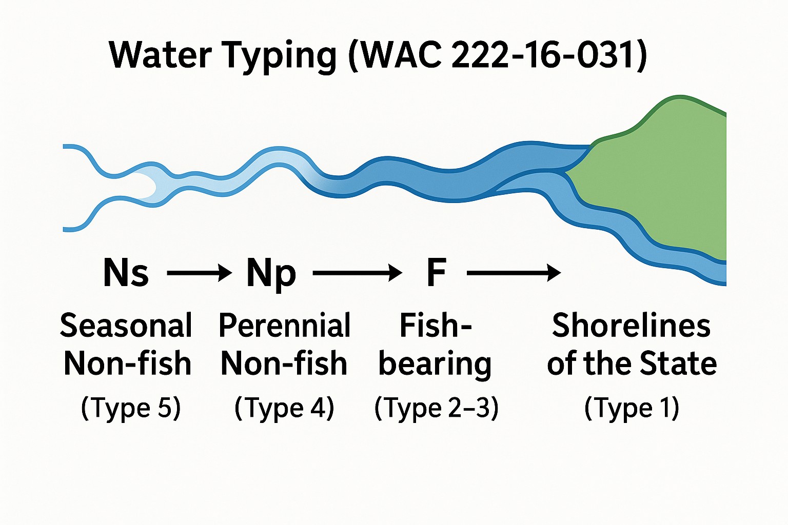 A Turning Point in Washington’s Forest Policy: What the June 6 Vote on ...