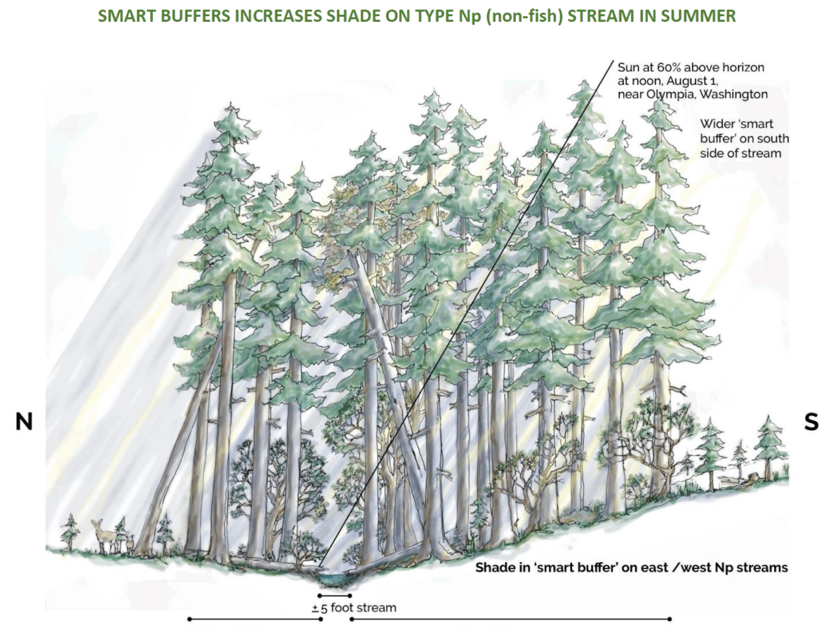 Riparian Buffer Zones – Washington Forest Protection Association